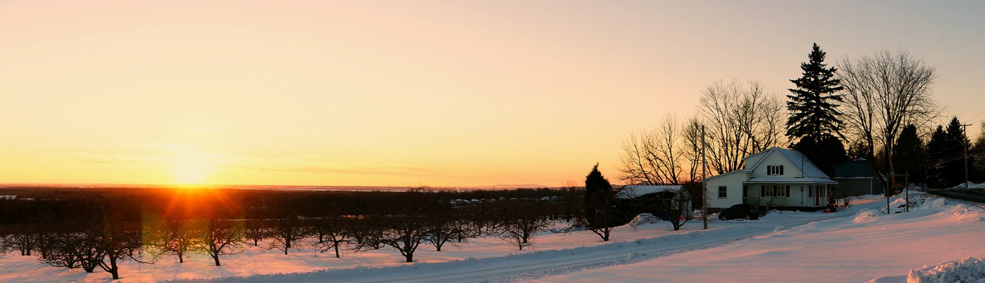 Landscapes